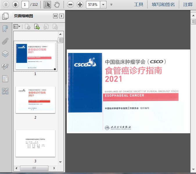 2021食管癌诊疗指南（CSCO）112页 - 资料下载 - 经管资料网